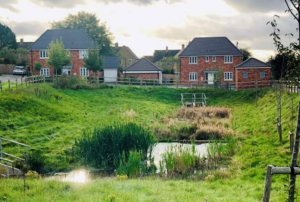 What are SuDS? - Link Engineering